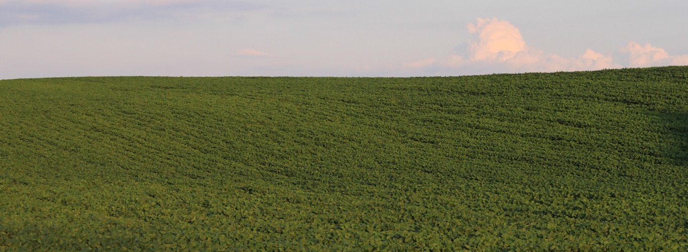 Legend Seeds - Your Regional Seed Leader